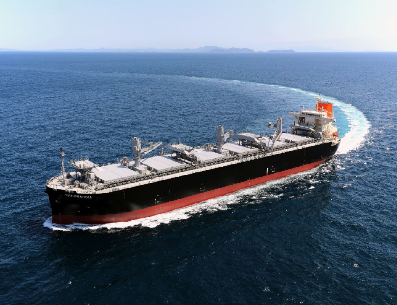 Wood Chip Carrier “VANGUARDIA” Delivered -Will Serve Daio Paper ...